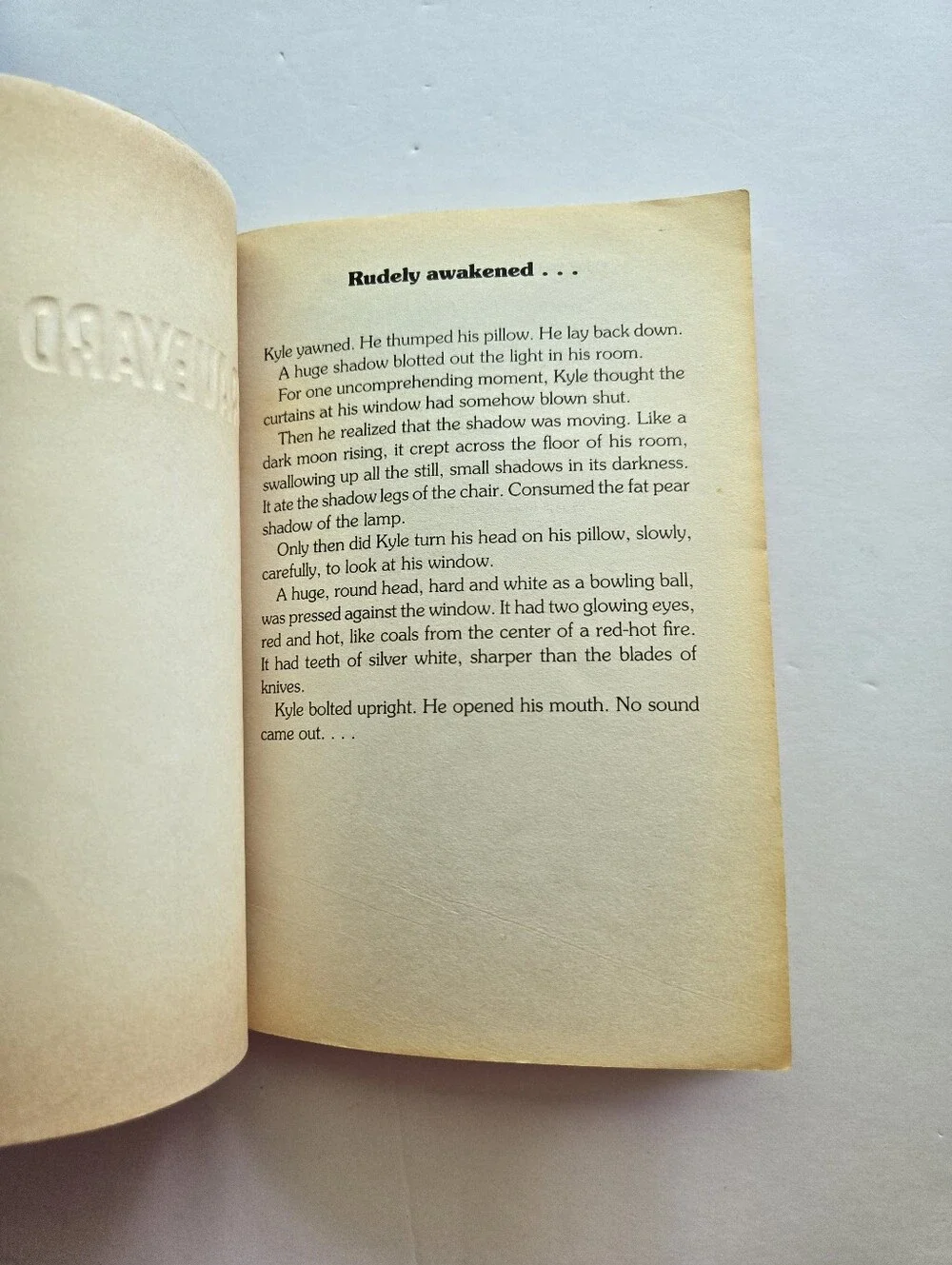 BOOK | Accents | Graveyard School 9 The Abominable Snow Monster Tom B ...